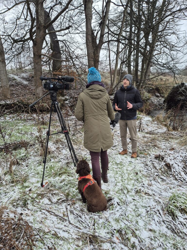 New study reveals Himalayan balsam's damaging impacts on rivers ...