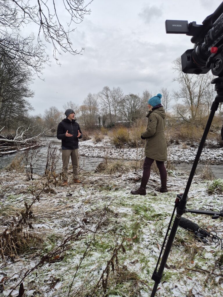 New study reveals Himalayan balsam's damaging impacts on rivers ...