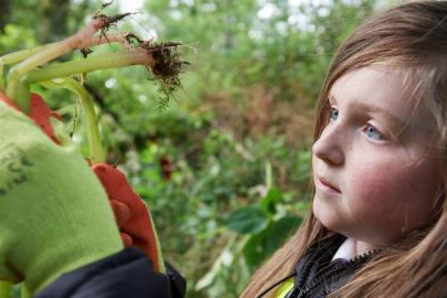 Alien detectives | Scottish Invasive Species Initiative (SISI)