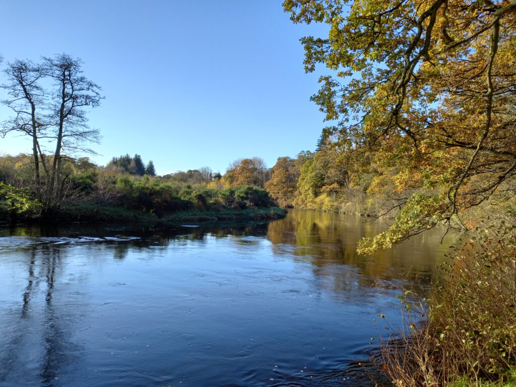 River Tay | Scottish Invasive Species Initiative (SISI)